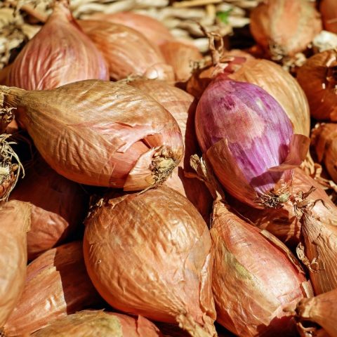 Shallots vs Onions - What is the Difference? and How to Use Them