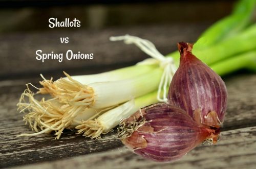 Shallots vs Onions - What is the Difference? and How to Use Them
