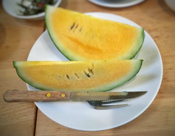 Watermelon Facts - [Sunlight Needs - Varieties - Trivia and Questions]