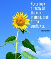 Sunflower Quotes - 20 Best Sunflower Sayings with Images