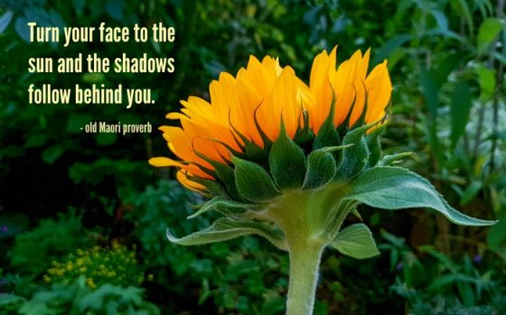 Sunflower Quotes - 20 Best Sunflower Sayings with Images