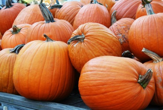Pumpkin Carving Tips - Carve a Pumpkin Easily with these Tricks