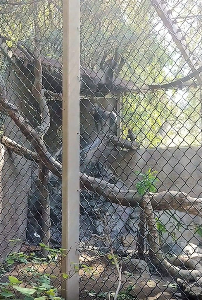 Los Angeles Zoo and Botanical Gardens - Nature and Wildlife in LA