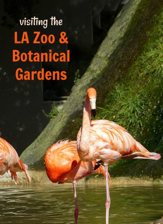 Los Angeles Zoo and Botanical Gardens - Nature and Wildlife in LA