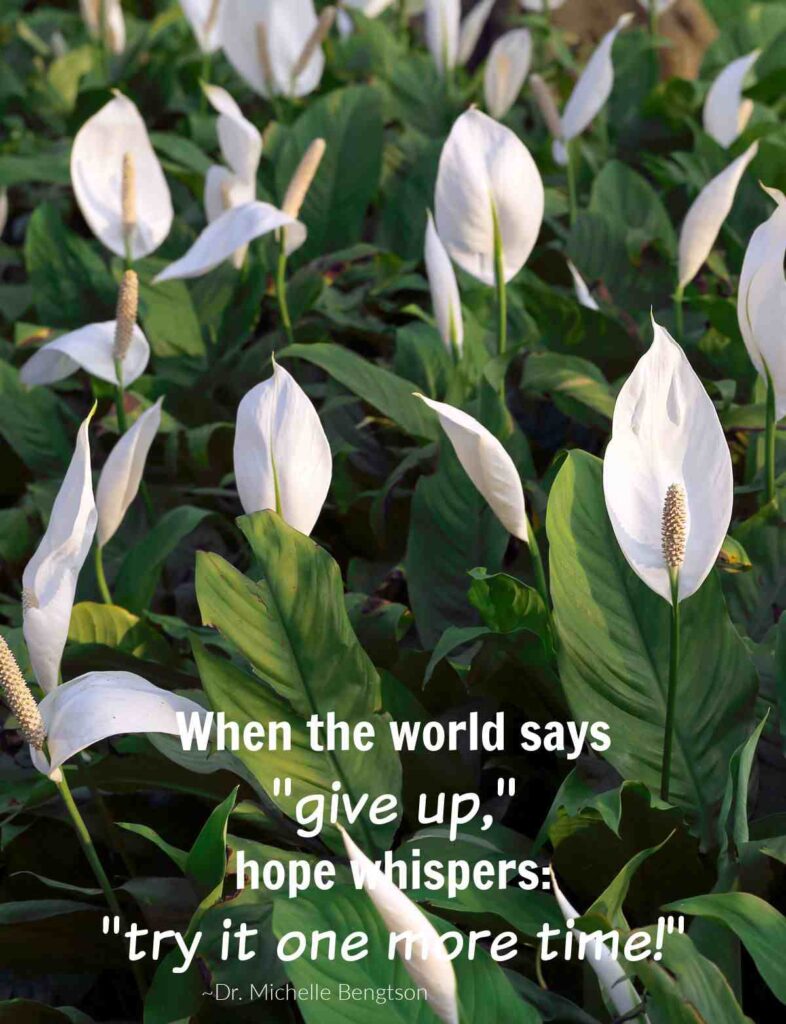 Inspirational Quotes about Hope - Motivation Sayings with Flower Photos