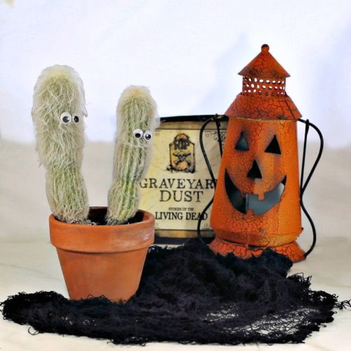 Halloween Plants - 21 Scary Plants to Set A Spooky Mood
