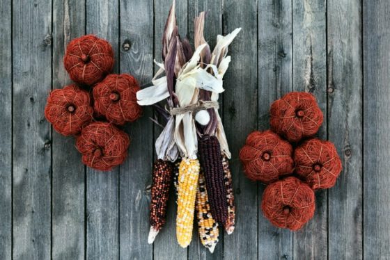 Decorating with Indian Corn for Thanksgiving - Easy Decor Ideas