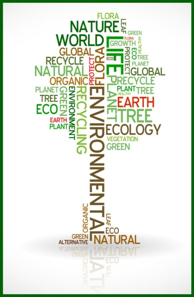Top 10 Ways to Protect The Environment - Save Our Environment at Home