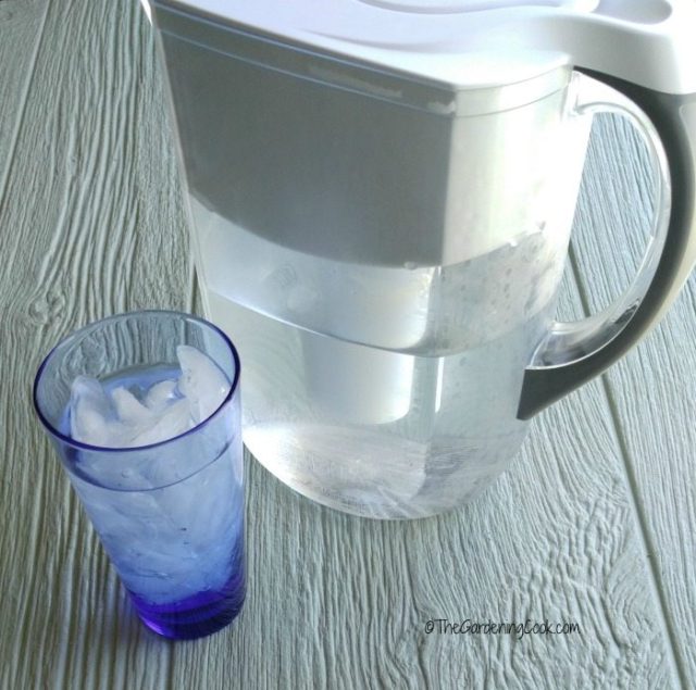 Top 10 Ways to Protect The Environment - Save Our Environment at Home