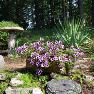 25+ Log Planters - Eco Friendly Planters - How to Make a Log Planter