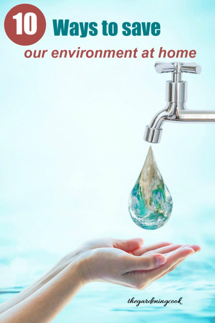 Top 10 Ways To Protect The Environment Save Our Environment At Home Top 10 Ways To Protect The Environment Save Our Environment At Home