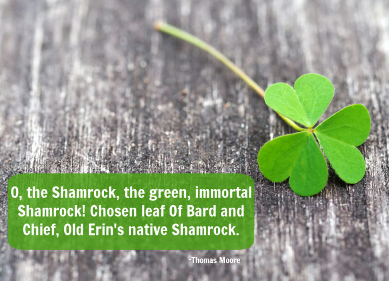 Good Luck Quotes - Best of Luck Wishes - Irish Quotes - Lucky Sayings