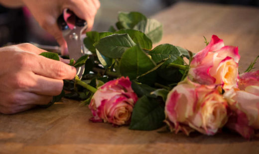 How to Keep Cut Flowers Fresh - 15 Tips for Making Cut Flowers Last