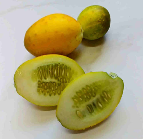 Cucumbers Turning Yellow - Garden Problems - Are they Safe to Eat?
