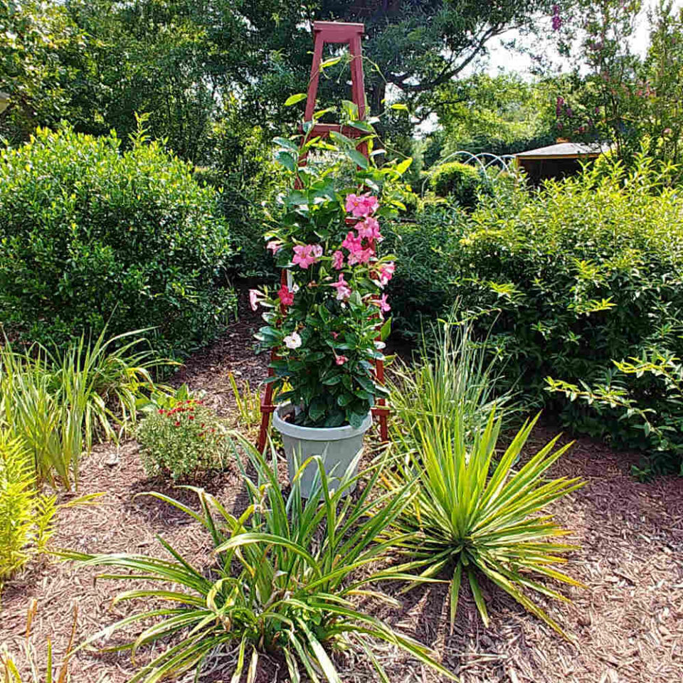 Creative Gardening Ideas - 20+ Recycled Garden Decor Ideas