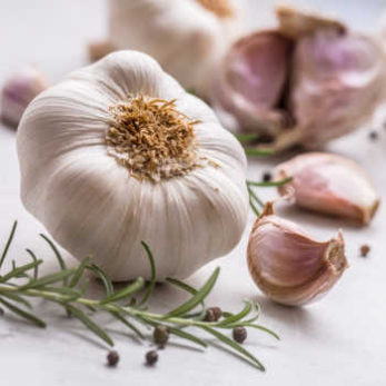 Herb Identification - How to Identify Herbs - Free Herb Gardening Printable