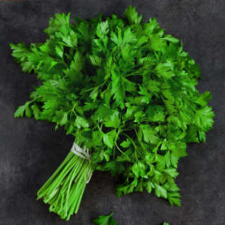 Herb Identification - How to Identify Herbs - Free Herb Gardening Printable