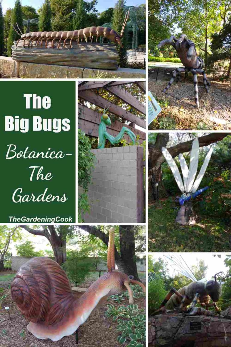 Botanica the Wichita Gardens has The Ultimate Children’s Garden