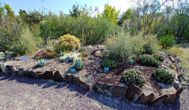 Orton Botanical Garden - Native Drought Tolerant Plants - Desert Garden