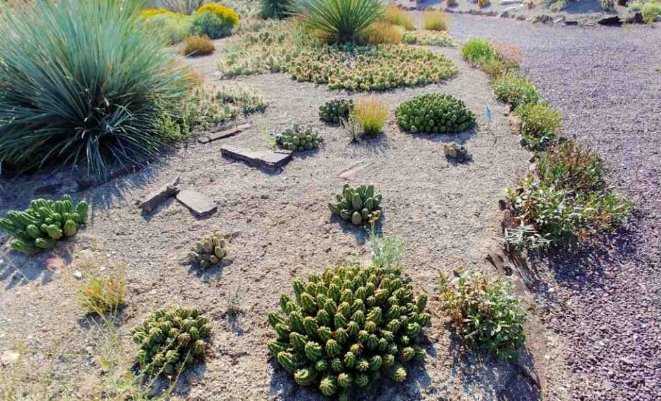 Orton Botanical Garden - Native Drought Tolerant Plants - Desert Garden