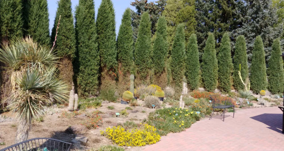 Orton Botanical Garden - Native Drought Tolerant Plants - Desert Garden