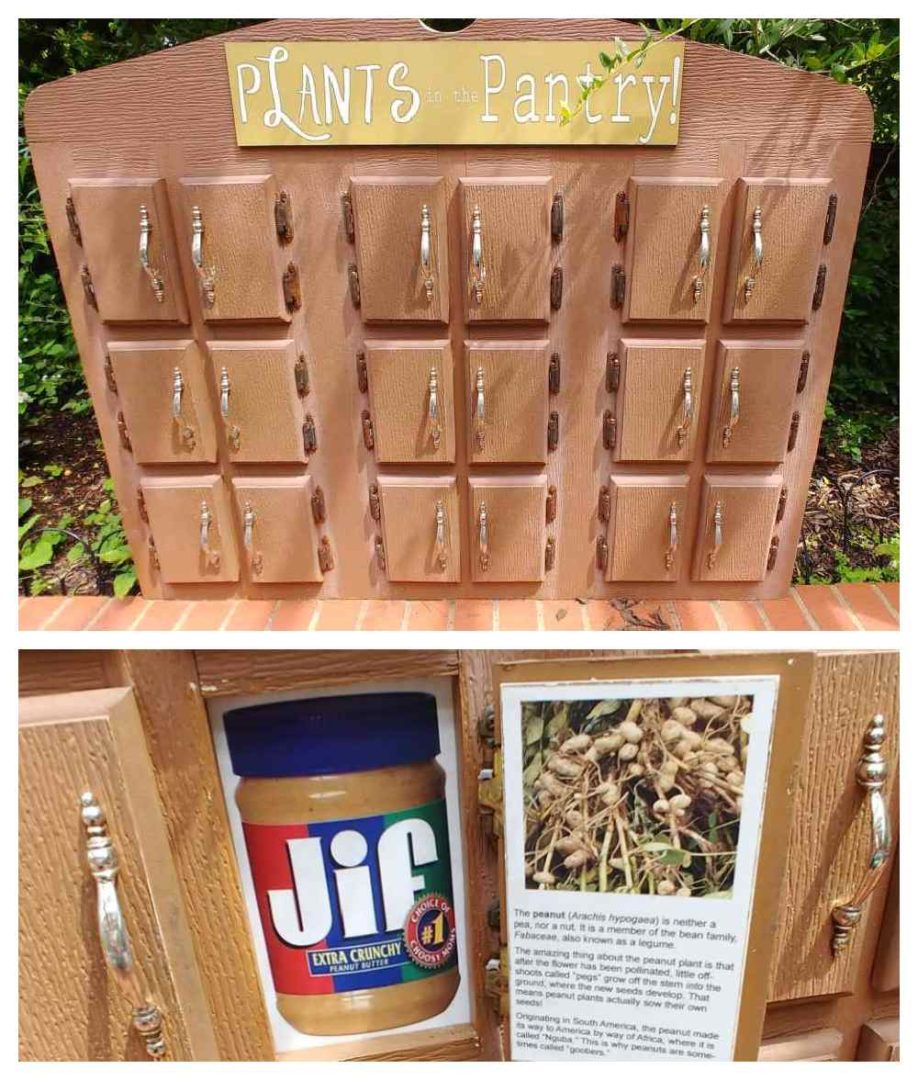 The Memphis Botanic Garden - Children’s Garden - Herb Garden & more!