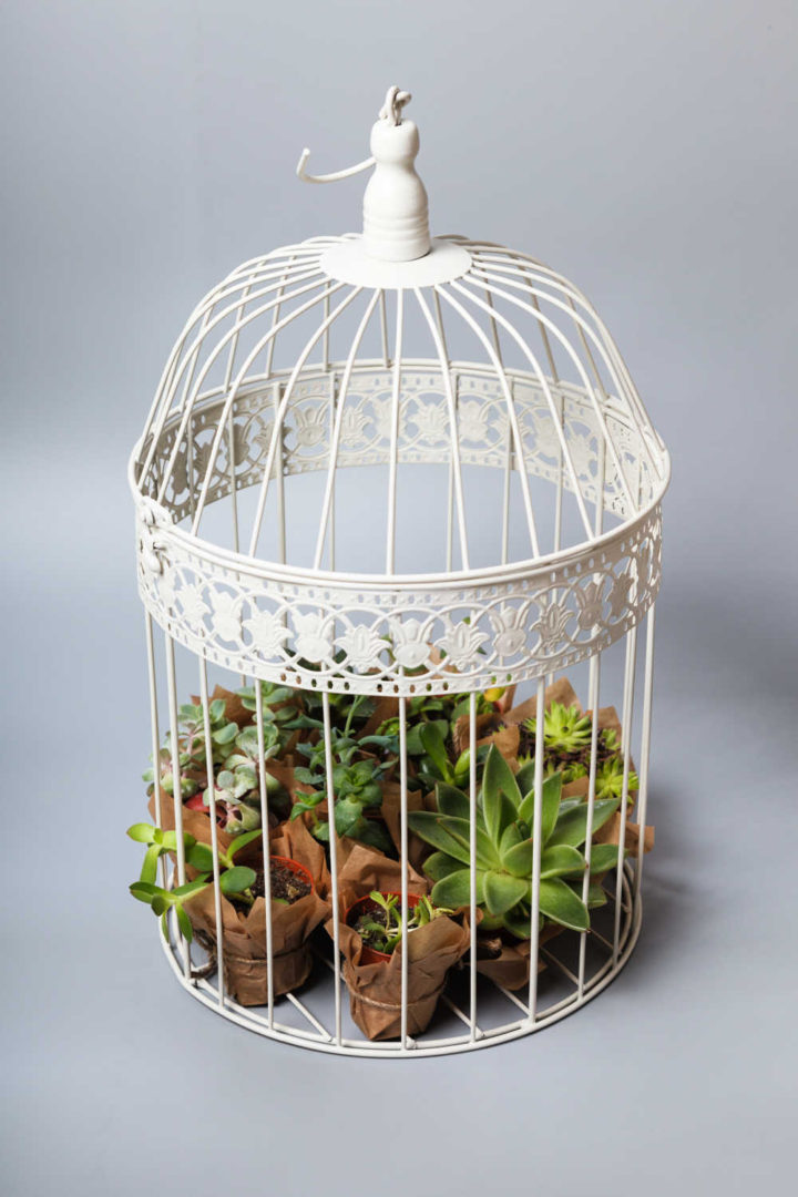 Bird Cage Planters - 15 Decorative Birdcage Planter Ideas