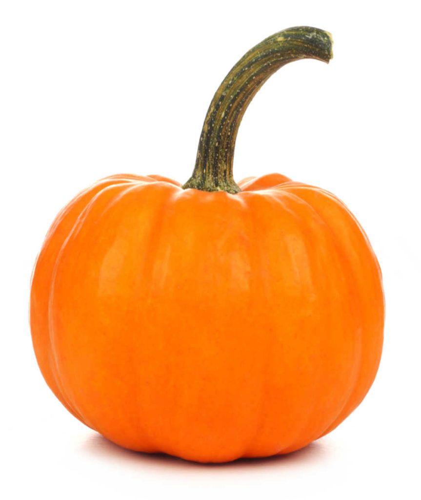 Best Pumpkins for Carving - Tips for Picking the Perfect Pumpkin