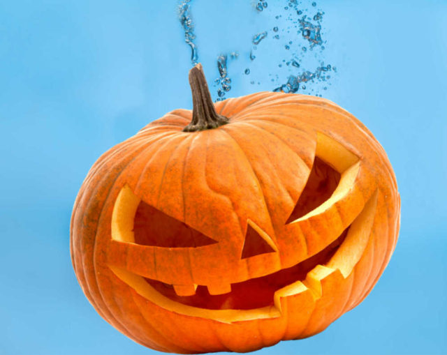 How to Preserve a Pumpkin Carving and Whole Pumpkins Too