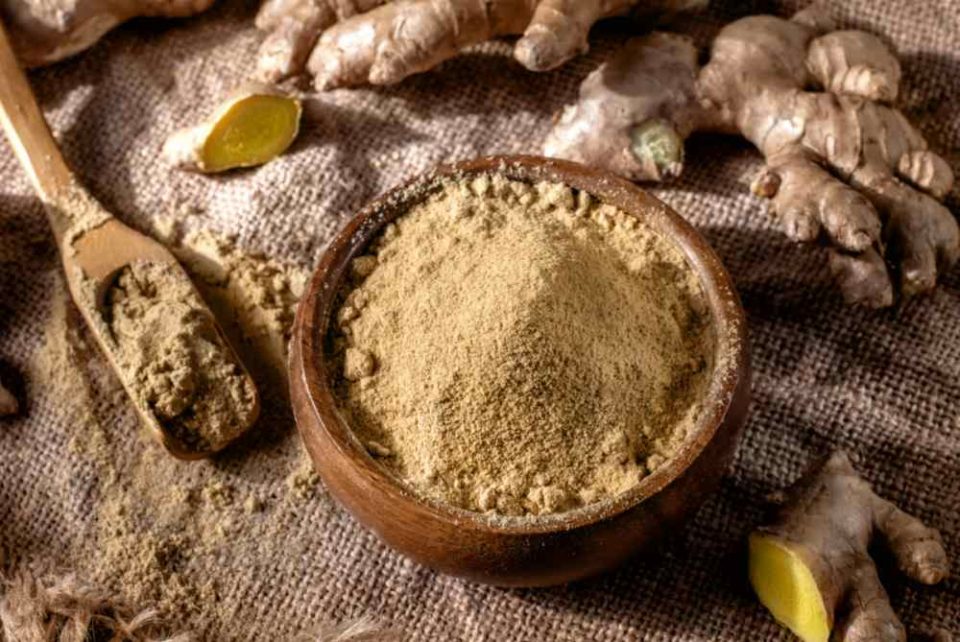 Herbs for Roasting Turkey - Best Fall Spices - Grow Thanksgiving Herbs