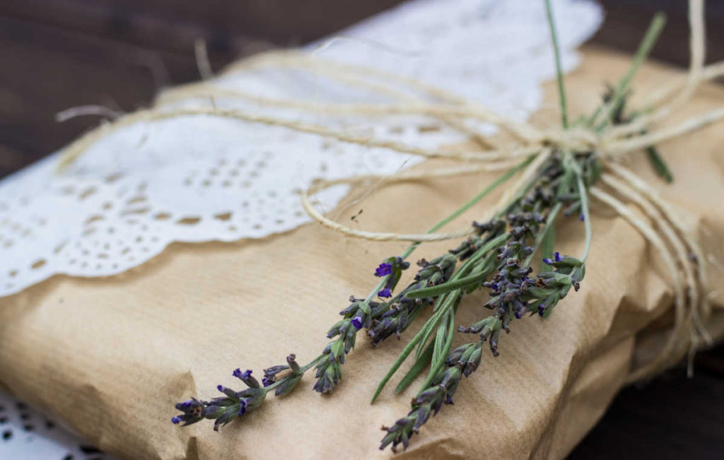 Winter Spices - List of Christmas Spices Plus Best Herbs for Xmas