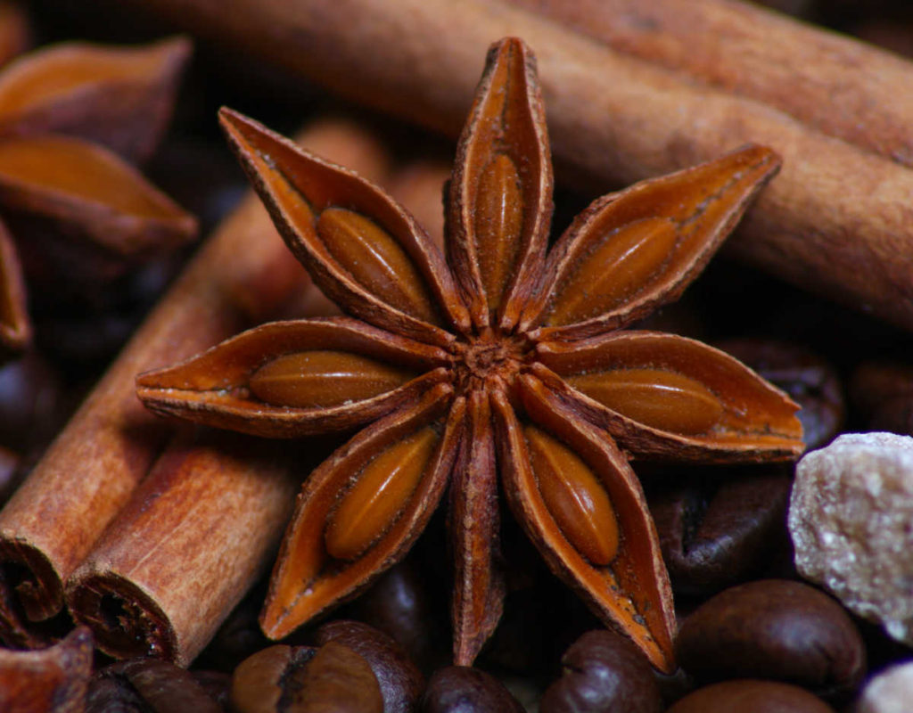 Winter Spices - List of Christmas Spices Plus Best Herbs for Xmas