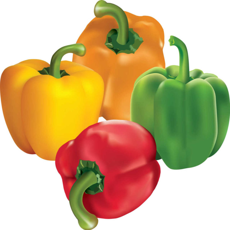 Bell Pepper Colors - Why Wont My Green Peppers Turn Red?