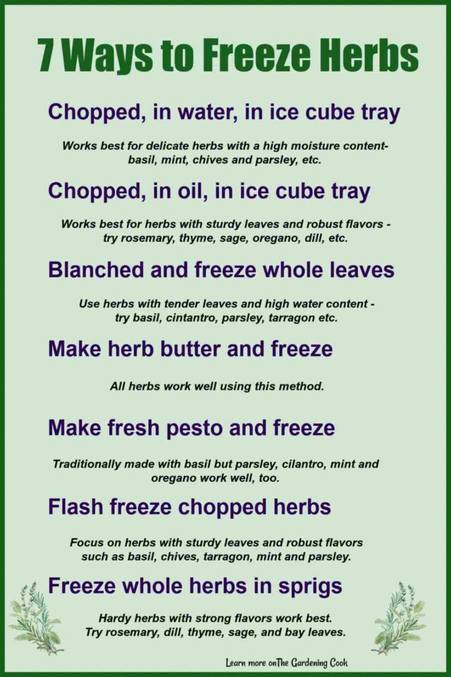 7 Ways to Freeze Fresh Herbs to Make Them Last all Winter Long