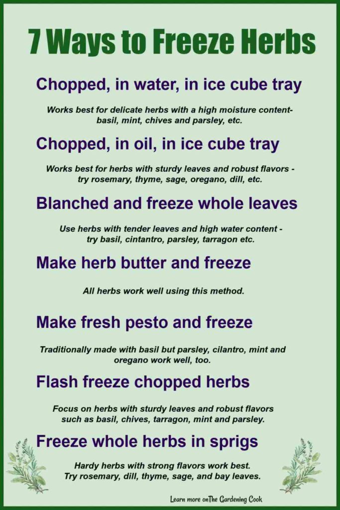 7 Ways to Freeze Fresh Herbs to Make Them Last all Winter Long