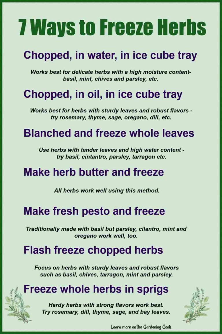 7 Ways to Freeze Fresh Herbs to Make Them Last all Winter Long