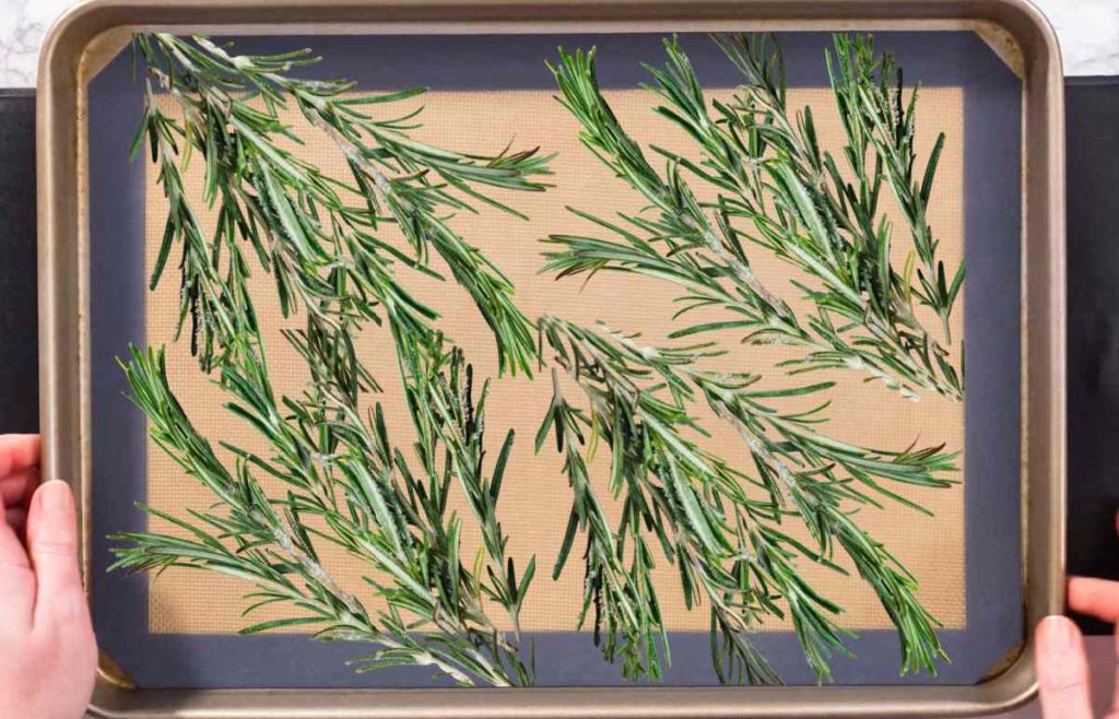 7 Ways to Freeze Fresh Herbs to Make Them Last all Winter Long