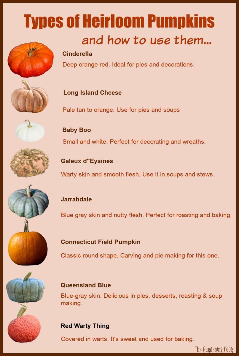 What are Heirloom Pumpkins? - Uses - Types - Seeds - Decorating