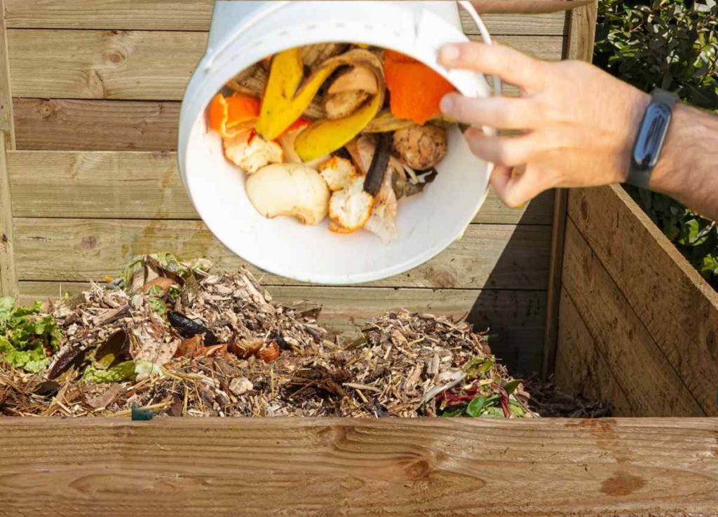 Tips for Mulching Leaves - How to Make Composted Leaf Mulch