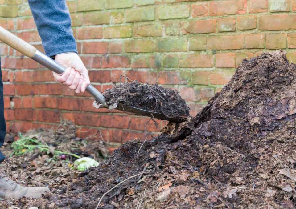 Tips for Mulching Leaves - How to Make Composted Leaf Mulch