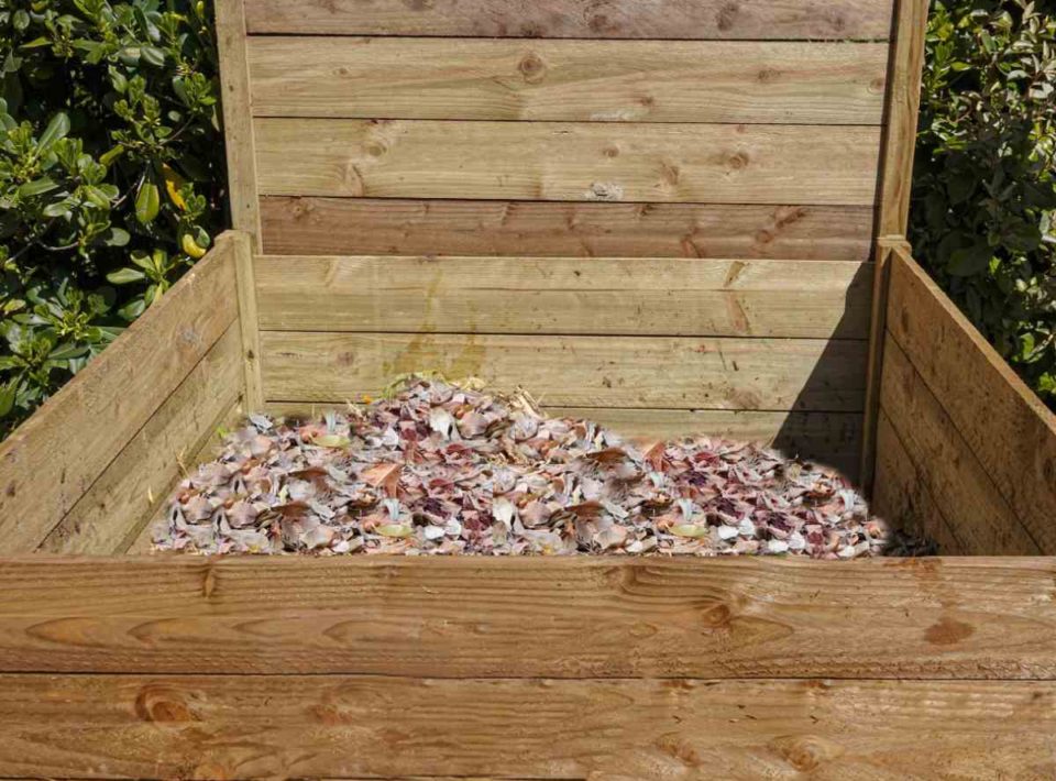 Tips for Mulching Leaves - How to Make Composted Leaf Mulch