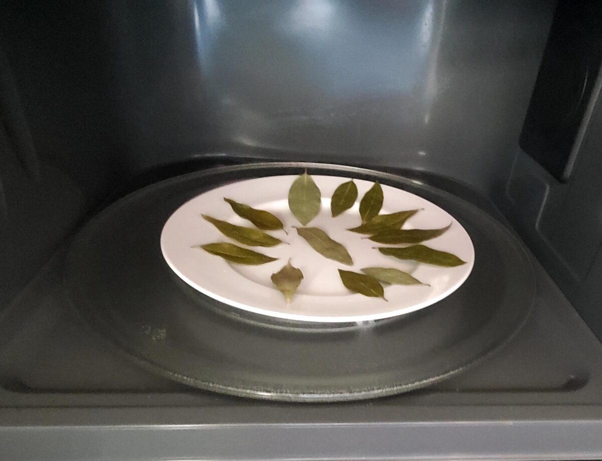 How to Dry Bay Leaves - Tips for Preserving Bay Laurel Leaves