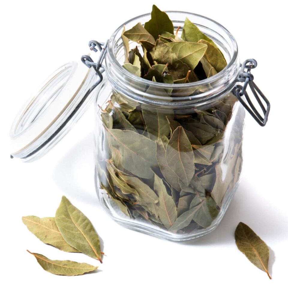How to Dry Bay Leaves - Tips for Preserving Bay Laurel Leaves