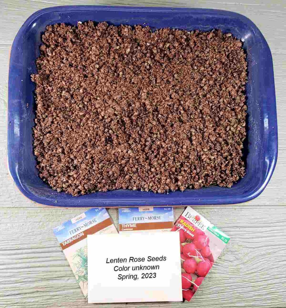 DIY Seed Starting Mix Plus a Soilless Potting Mix Recipe