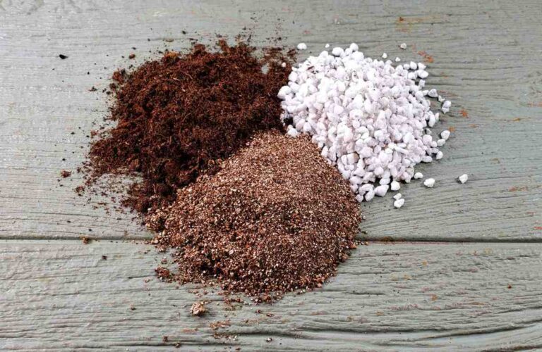 DIY Seed Starting Mix Plus a Soilless Potting Mix Recipe