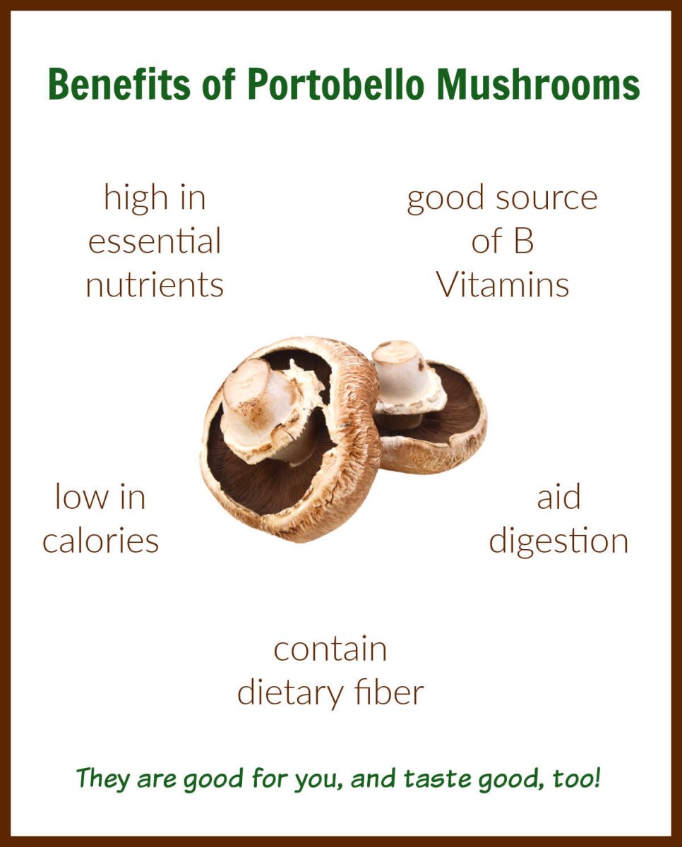 What are Portobello Mushrooms? Facts, Benefits, and Recipe Uses