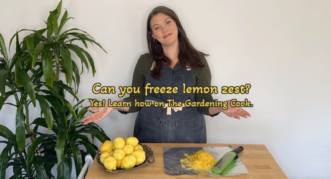 Can You Freeze Lemon Zest? Video Tutorial, Printable Instructions