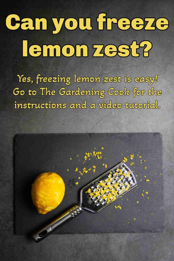 Can You Freeze Lemon Zest? Video Tutorial, Printable Instructions