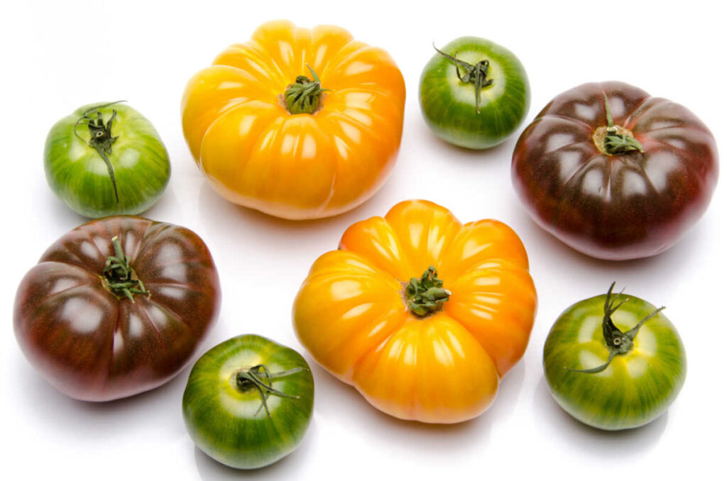 Tomatoes Not Turning Red - 6 Reasons Why Tomatoes Won't Ripen