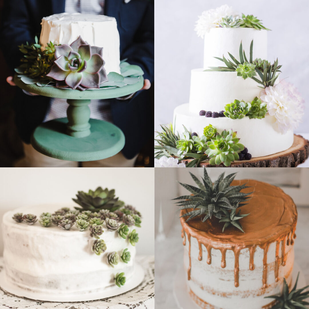Succulent Cake Ideas - With Gum Paste & Buttercream Succulents